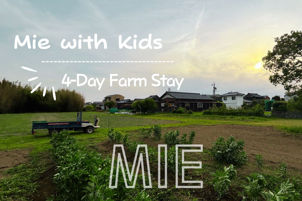 [Farm Stay Experience] 3 Nights, 4 Days in Meiwa Town, Mie Prefecture—A ...